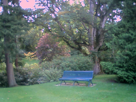 Innerleithen - Elibank & Traquair Forest - Woodland Trust
